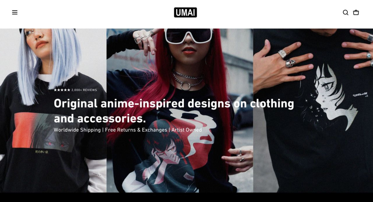 15 Successful Print-On-Demand Store Examples | Printful